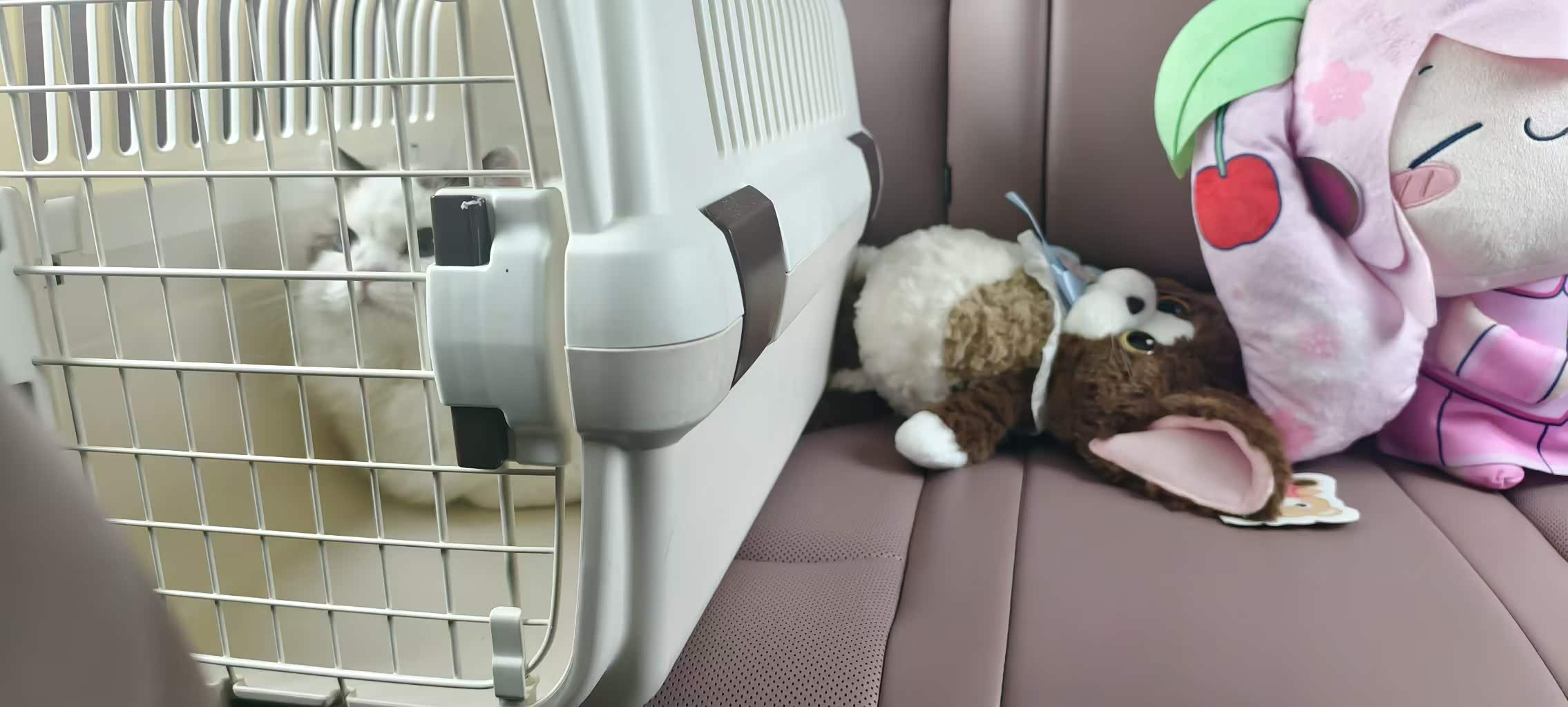 【图】今天在苏州刚提了东风日产N7 510Max，燕麦米颜色看着低_日产N7论坛_汽车之家论坛