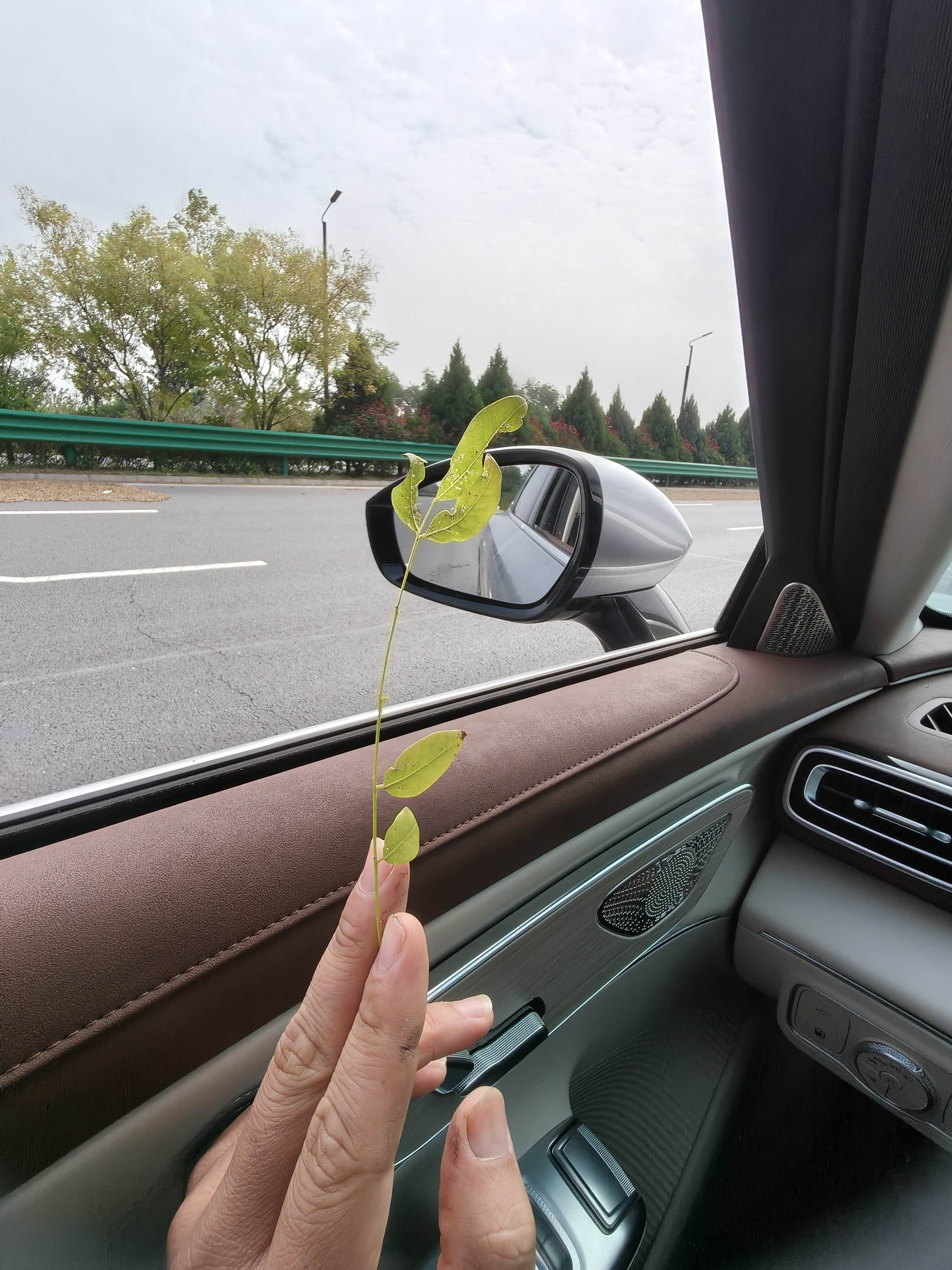 【图】风云A9L尊贵版用车两月：家用刚需的精准满足 提2025款风_风云A9L论坛_汽车之家论坛