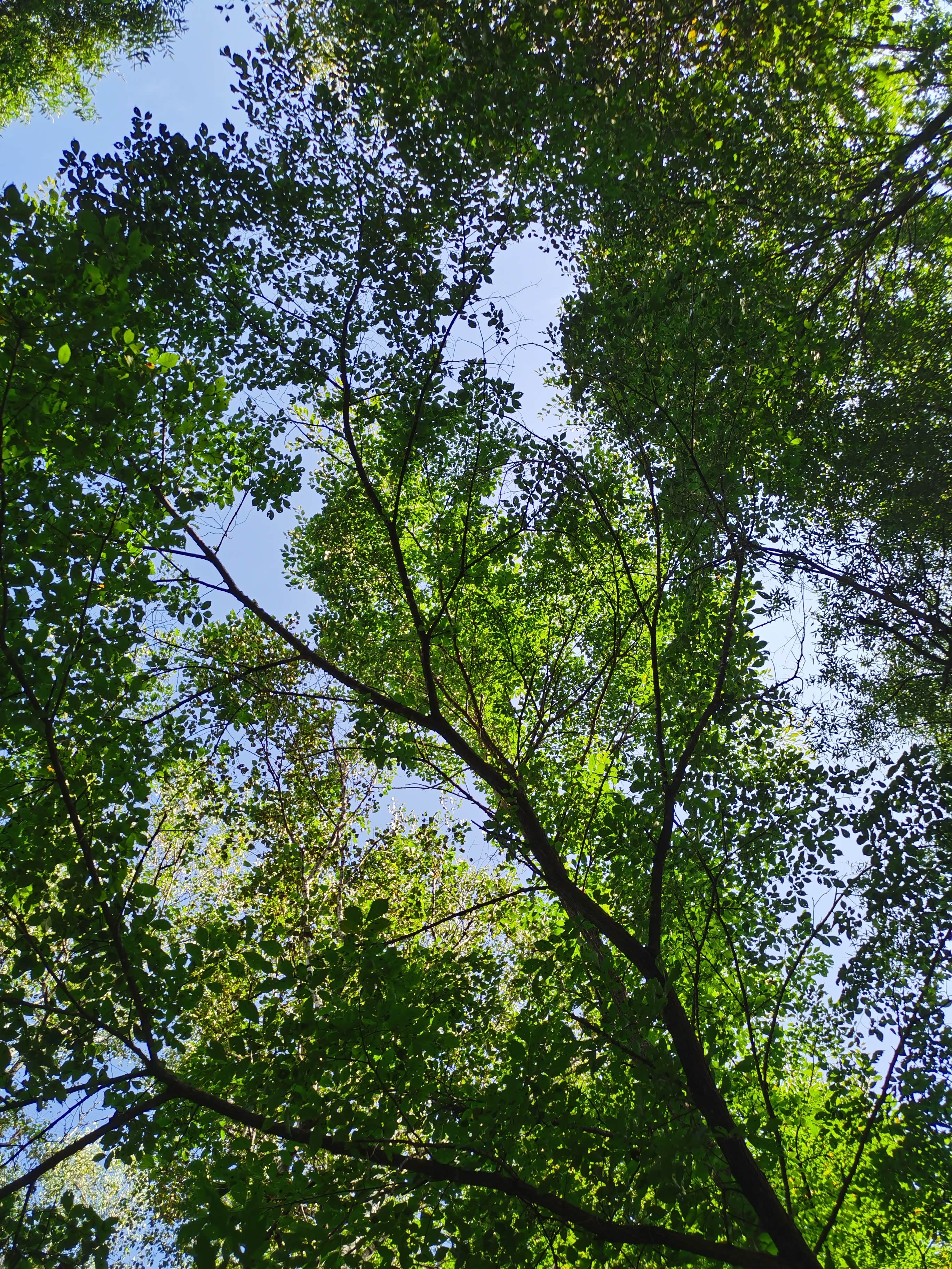 【图】提升红旗HS5驾驶体验的实用技巧_红旗HS5论坛_汽车之家论坛